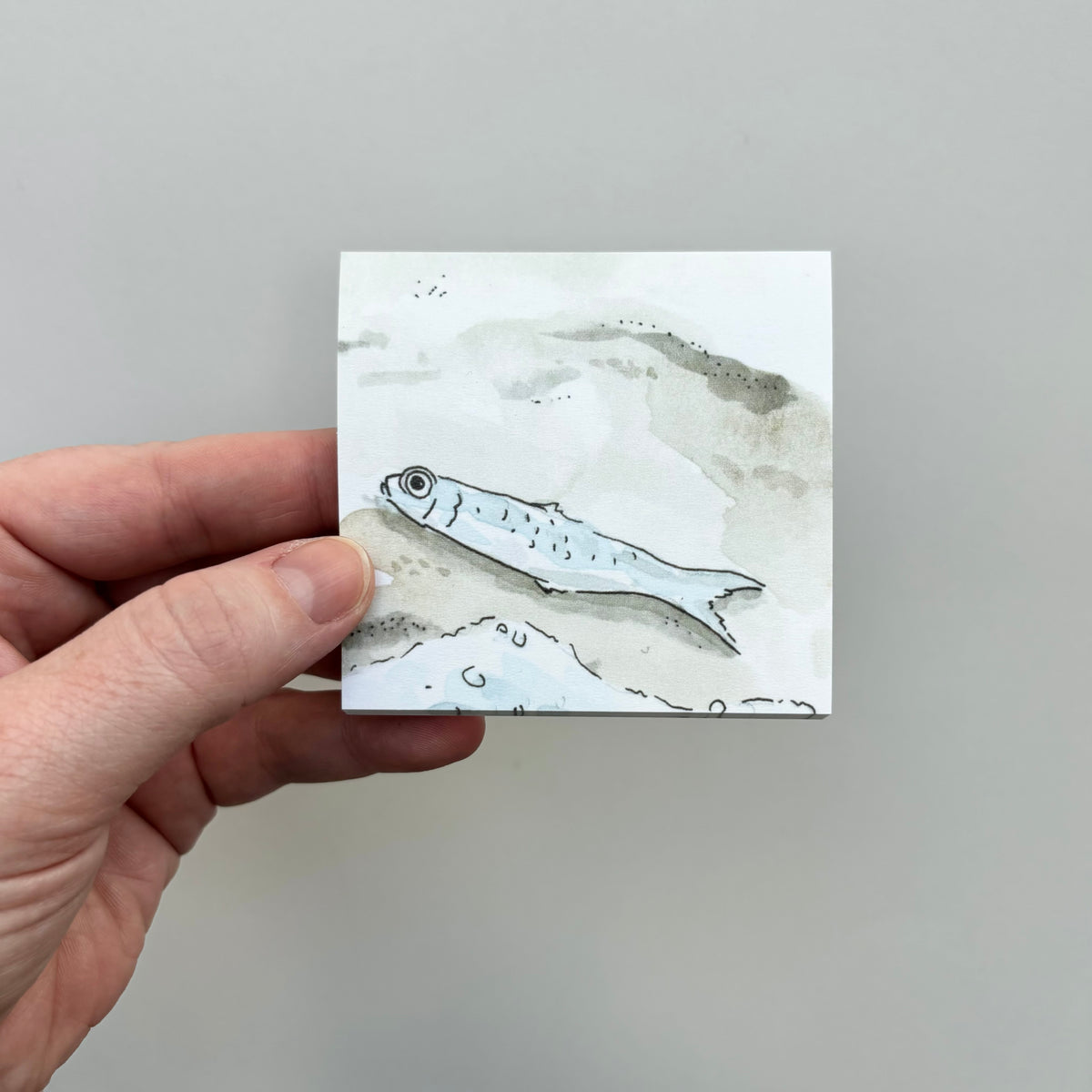 Little Fishy Sticky Notes – The Critter Co