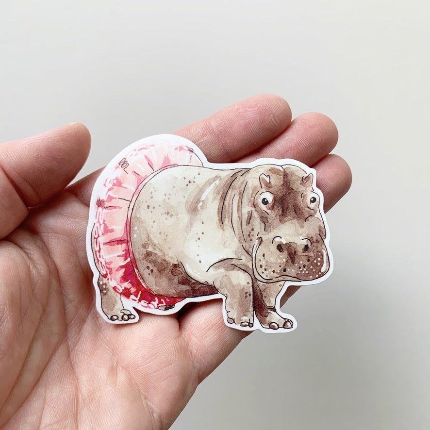 Dancing Hippo Sticker – The Critter Co